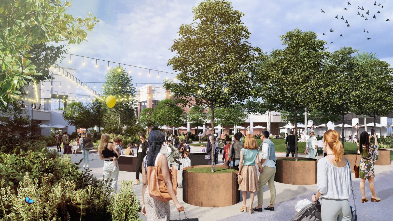 Avenue des Lumières | Jenaco